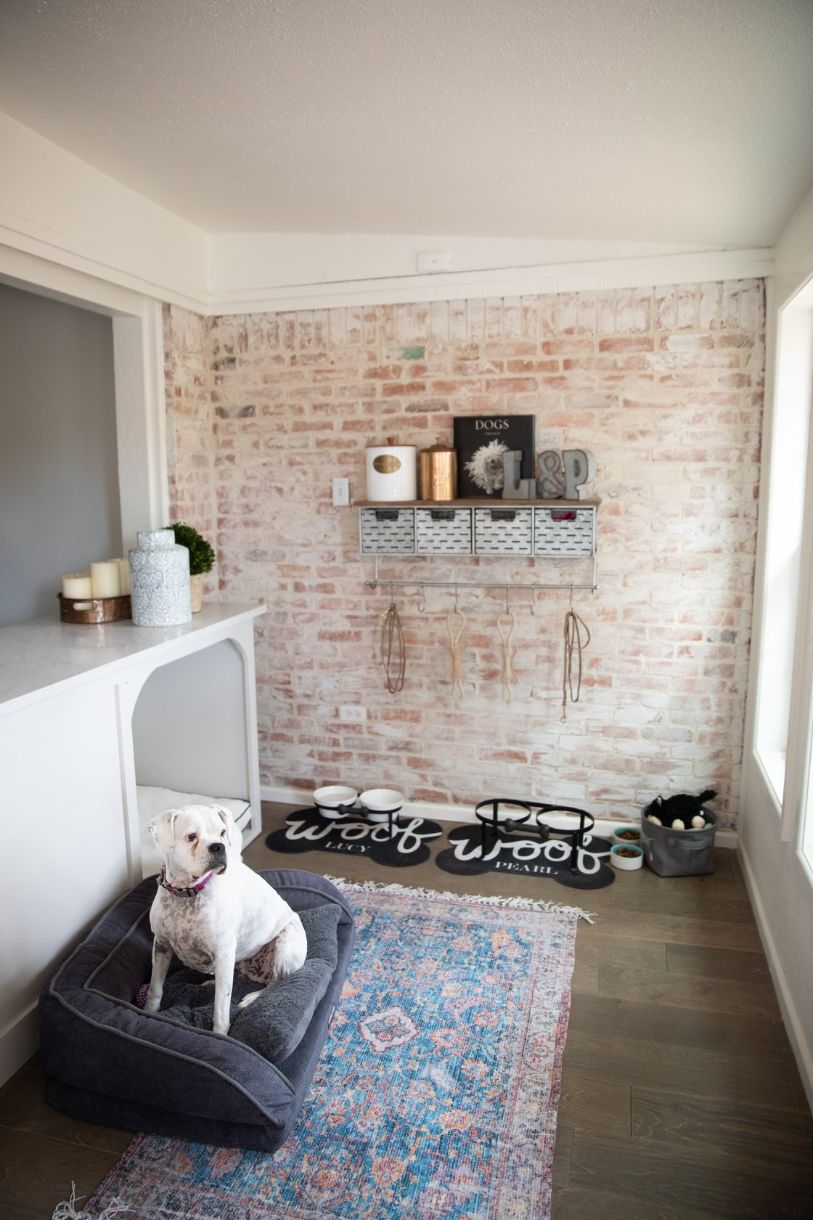 5 Tips to Create a Safe Pet-Friendly Space in Your Home | Budget Blinds