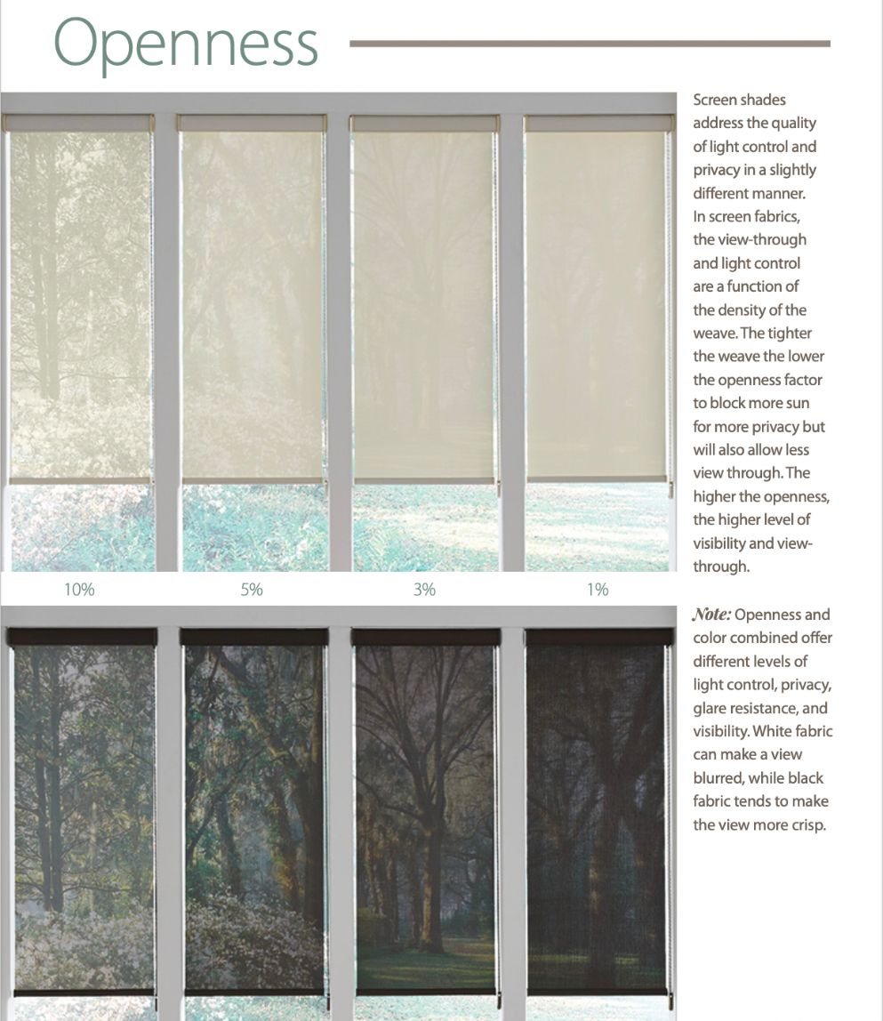 Blinds - Privacy with a View | Budget Blinds