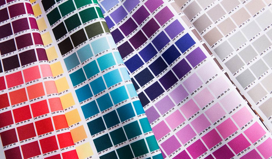 Go BOLD with Color